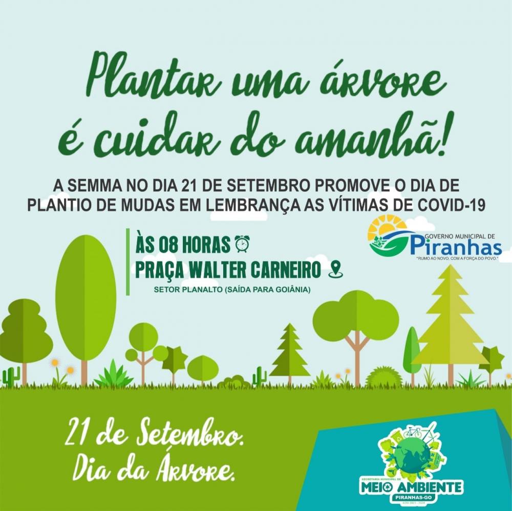 Plantar uma árvore é cuidar do amanhã! - Governo Municipal de Piranhas